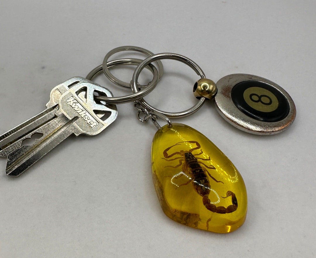 Scorpion Amber Keychain, Scorpion Keychain, Scorpion, Backpack Keychain ...