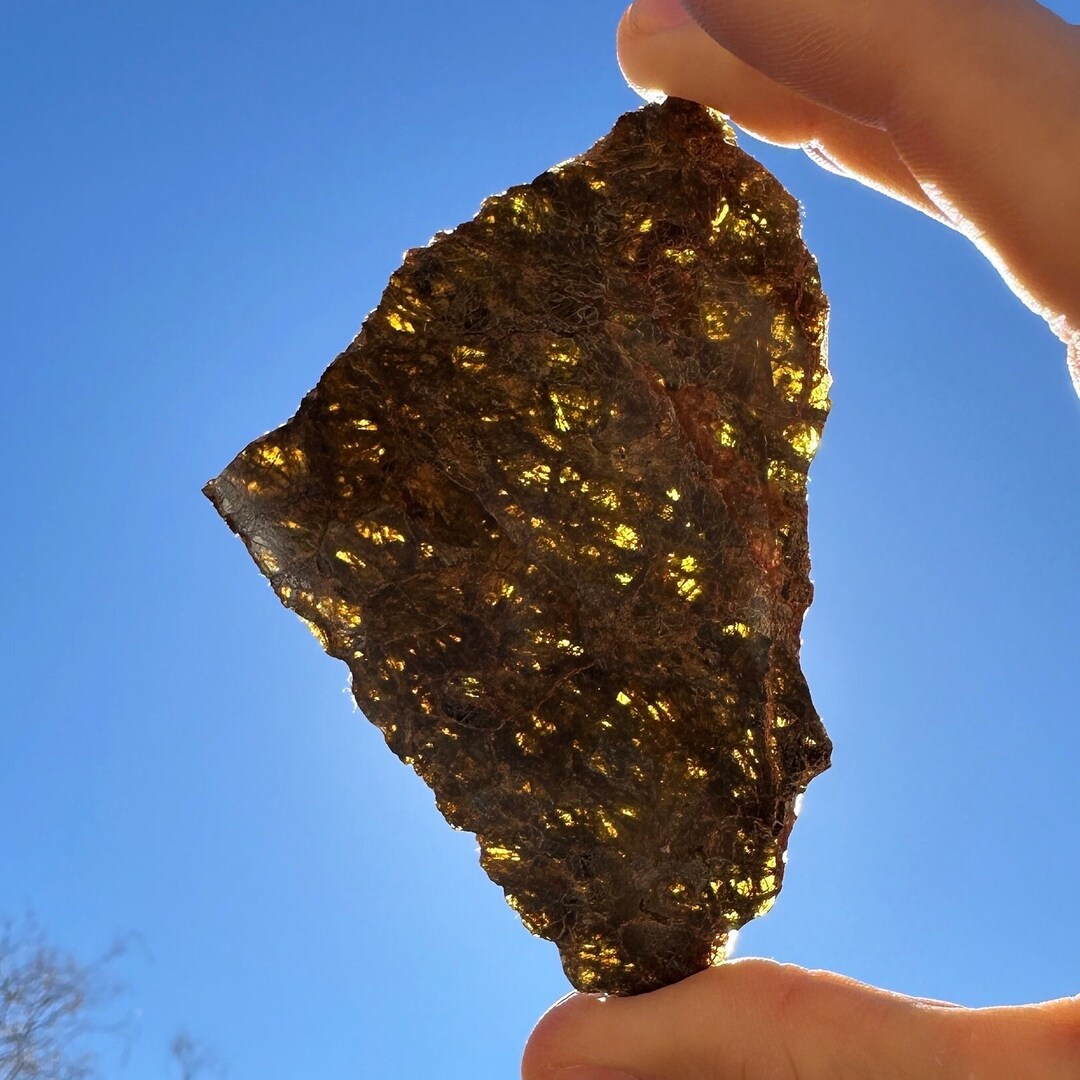NWA 7831 Diogenite Meteorite Slice, HED Achondrite Meteorite, Diogenite ...