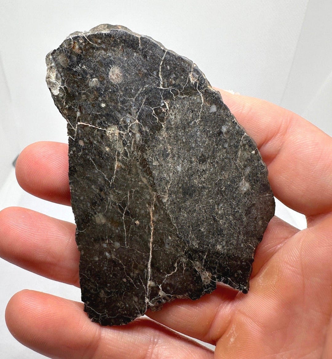 NWA 11182 Moonlunar Meteorite Slice, Rare Moon Meteorite, Moon ...