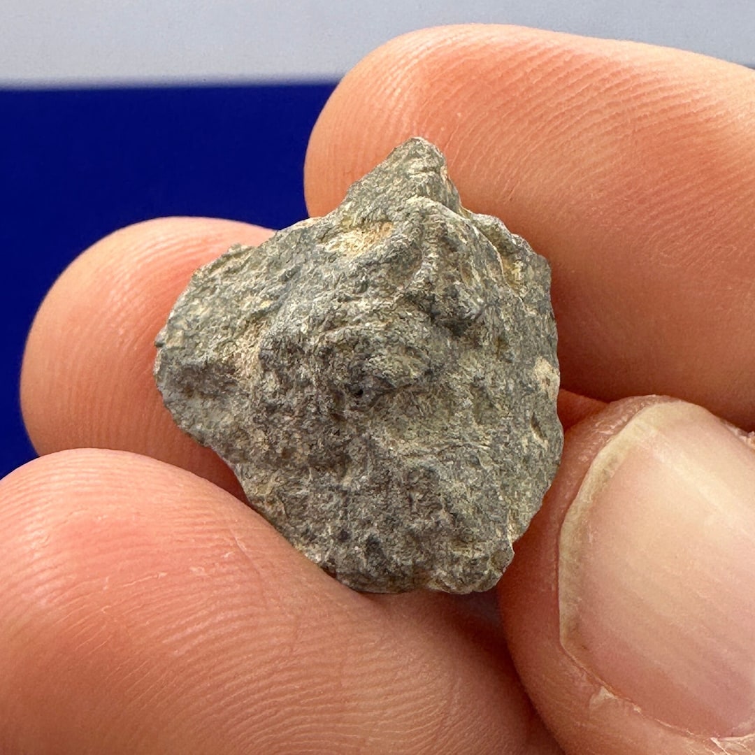 NWA 11474 Moon/lunar Meteorite, Feldspathic Breccia, Moon Meteorite ...