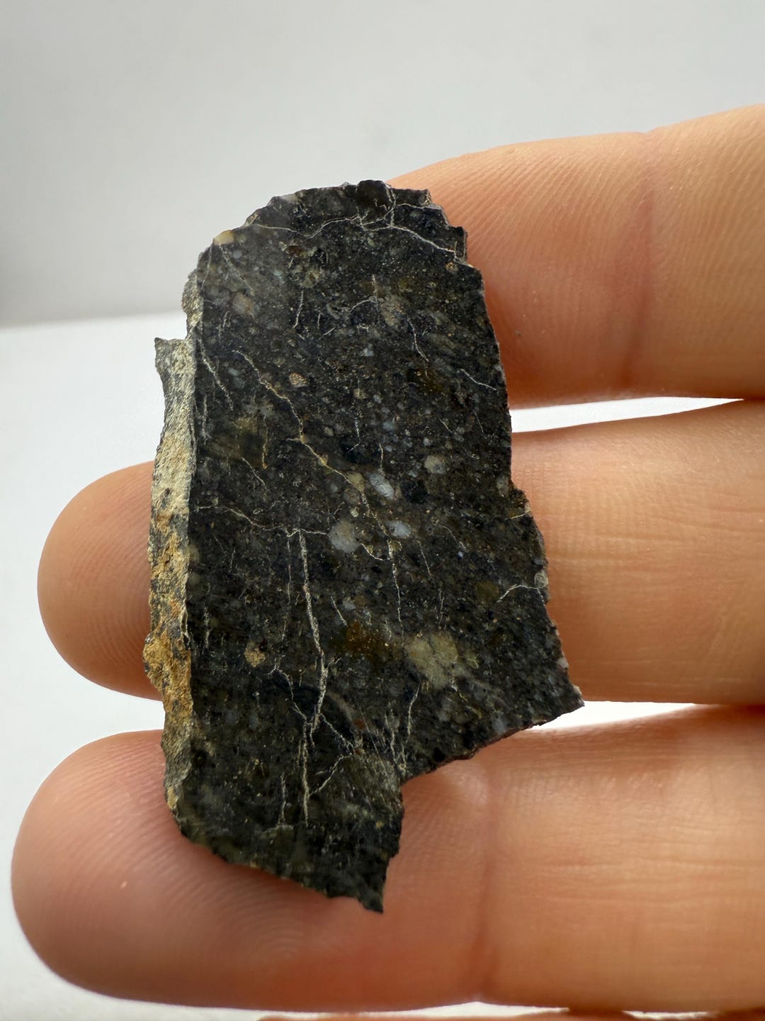 NWA 11182 Moon/lunar Slice, Moon Rock, Moon Meteorite, Lunar ...