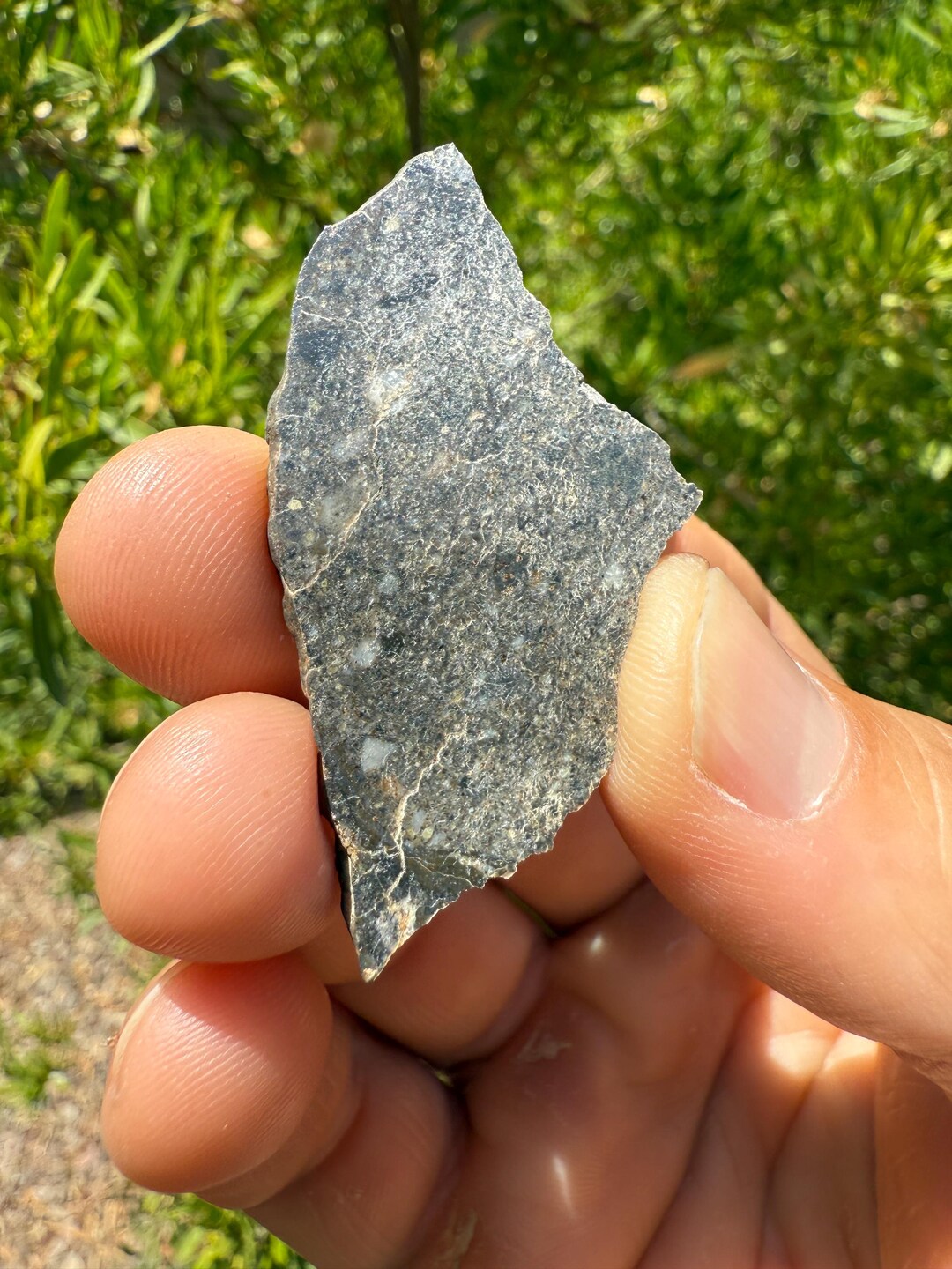 NWA 11182 Moon/lunar Slice, Moon Rock, Moon Meteorite, Lunar ...