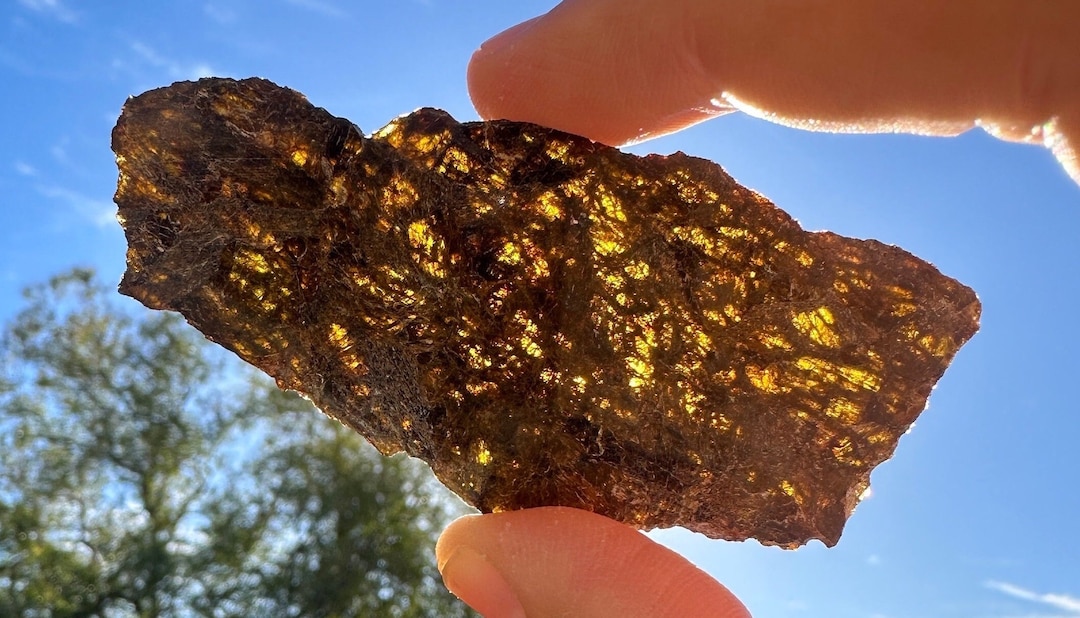 NWA 7831 Diogenite Meteorite Slice HED Achondrite Meteorite - Etsy