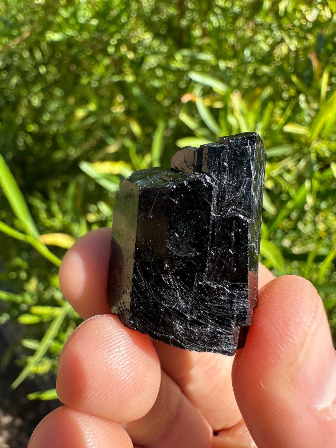 Yinnietharra Dravite Crystal Specimen: Brown Tourmaline, Grounding ...