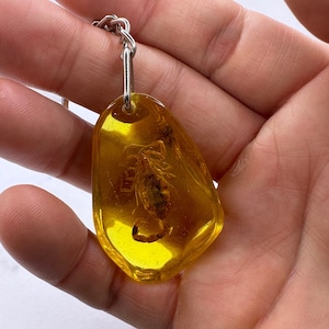 Scorpion Amber Keychain, Scorpion Keychain, Scorpion, Backpack Keychain ...