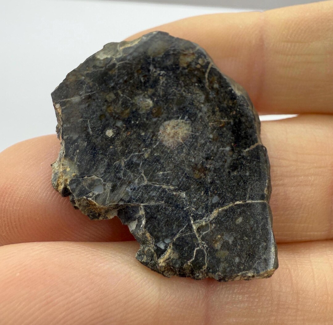NWA 11182 Moon/lunar Slice, Moon Rock, Moon Meteorite, Lunar ...