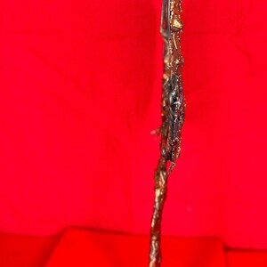 Beautiful Large Splash Copper Oak Tree Sculpture, Copper Art, Arizona ...