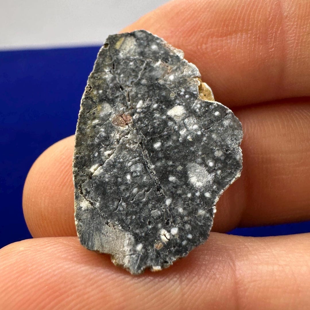 NWA 15583 Moon/lunar Meteorite Slice, Feldspathic Breccia, Moon ...