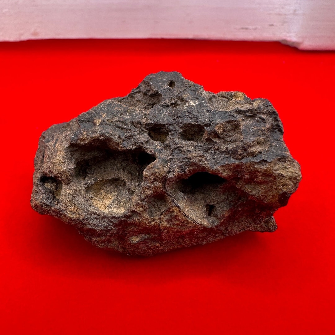 Beautiful Meteorite Al Haggounia 001 Chondrite stony Meteorite, 40.50 ...