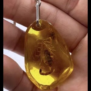 Scorpion Amber Keychain, Scorpion Keychain, Scorpion, Backpack Keychain ...