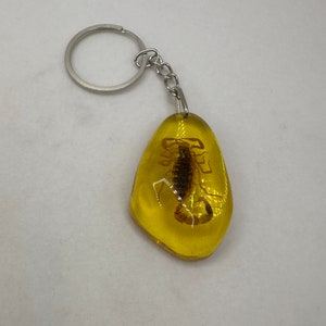 Scorpion Amber Keychain, Scorpion Keychain, Scorpion, Backpack Keychain ...