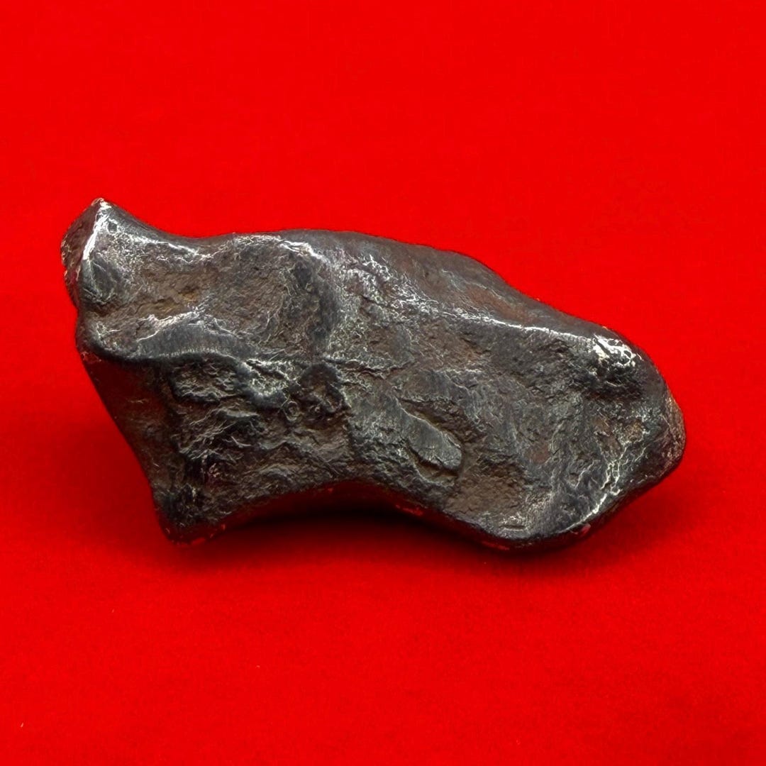 Agoudal Iron Meteorite, Space Gift, Authentic Meteorite, Astronomy Gift ...