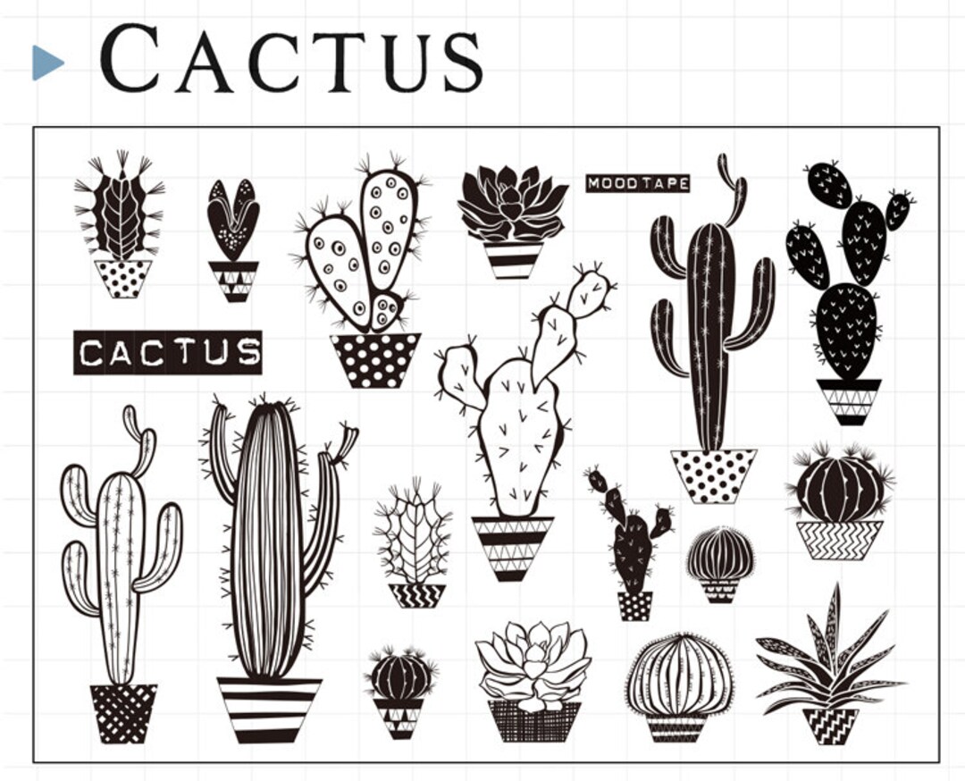 Clear Stamp Set /clear Stamps /cactus Greenery Succulents Plants Garden ...