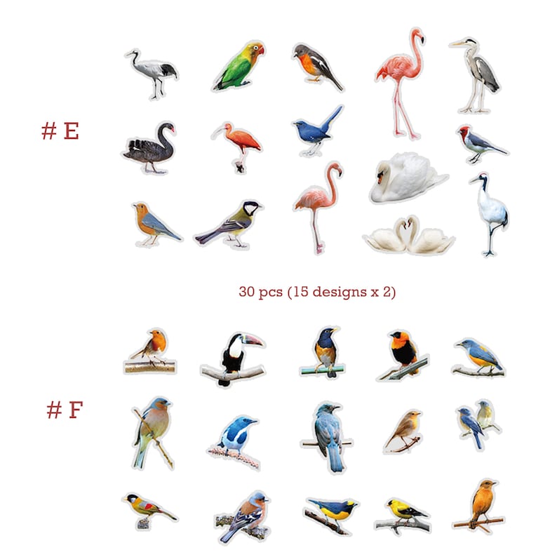 Bird PET Sticker ｜parrot Quill Bird Sparrow Nature Insect Themed PET ...