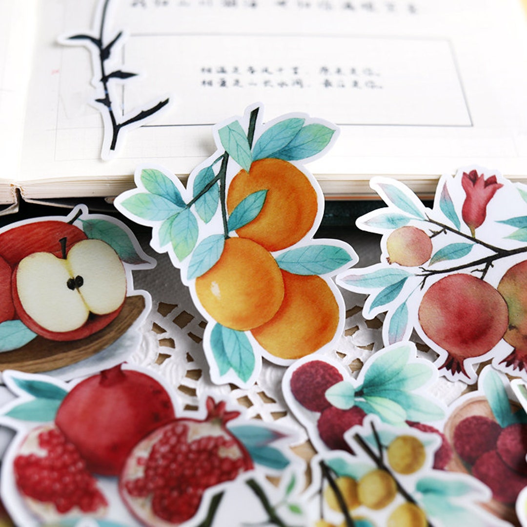 Fruit Watercolor Sticker | Fruit Apple Berry Plum Mango Pomegranate ...