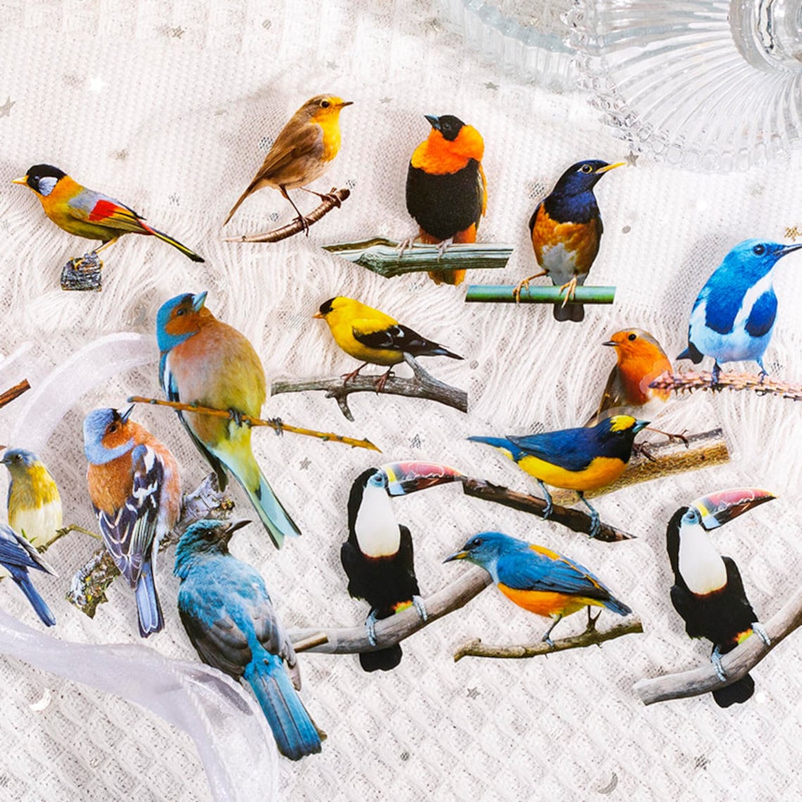 Bird PET Sticker ｜parrot Quill Bird Sparrow Nature Insect Themed PET ...