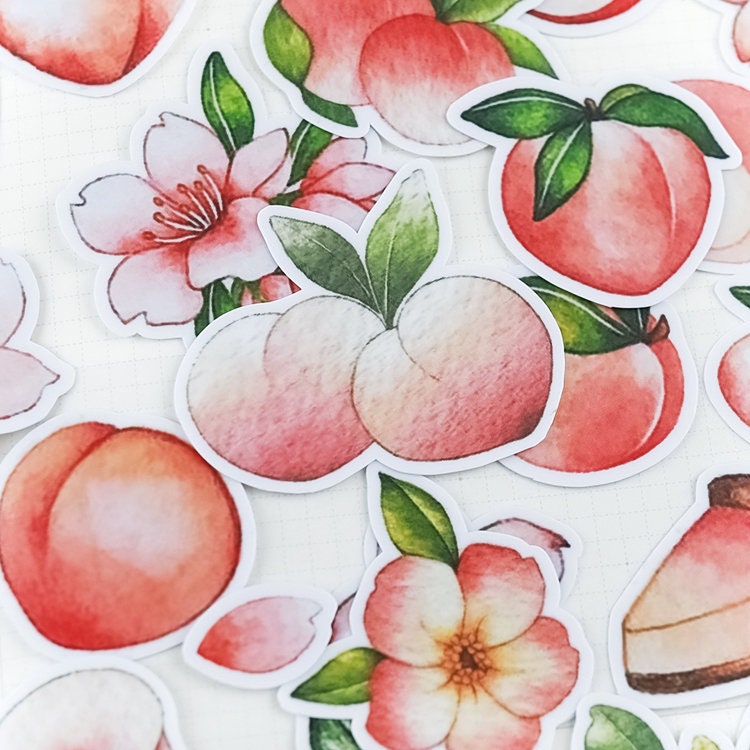 Peach Sticker Fruit Pink Peaches Plant Sweet Juicy Summer - Etsy