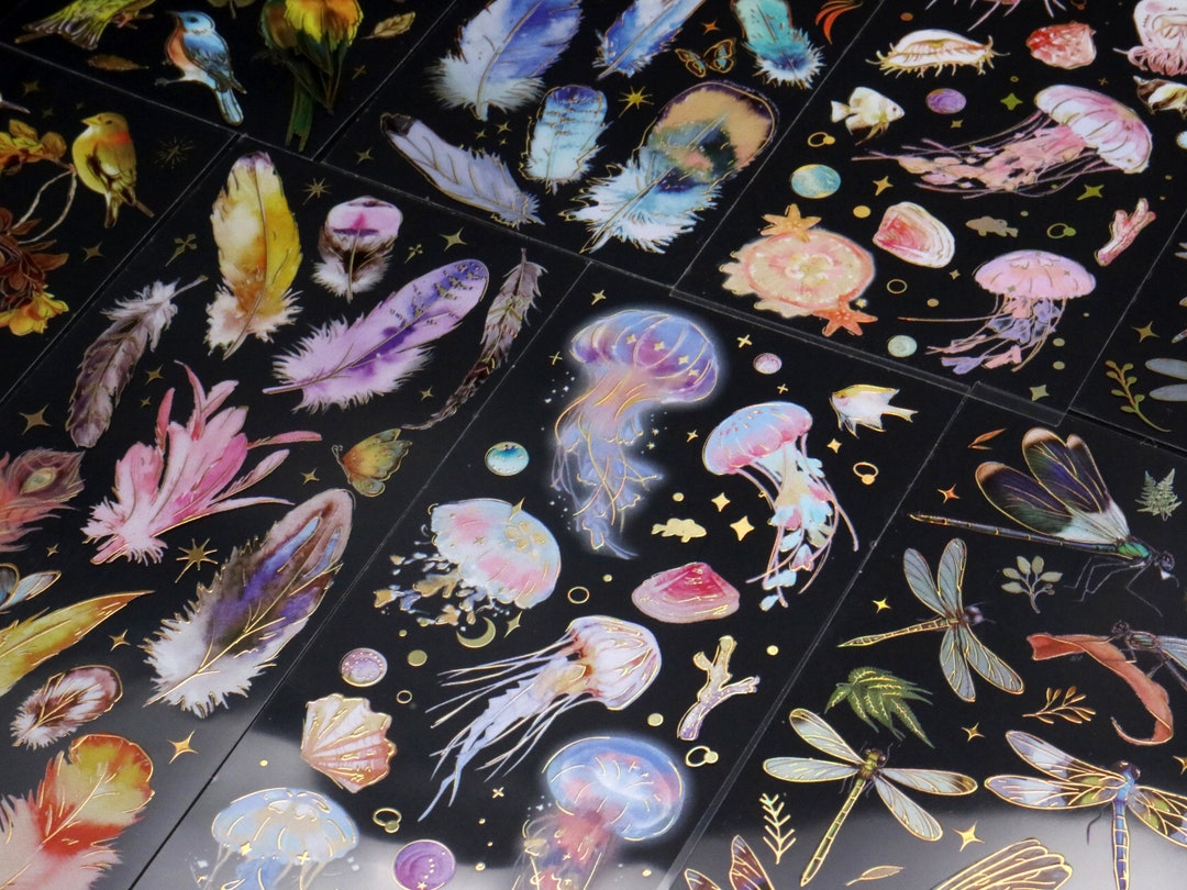 Bird PET Sheet Stickers | Feather Jelly Fish Sticker Dragonflies ...