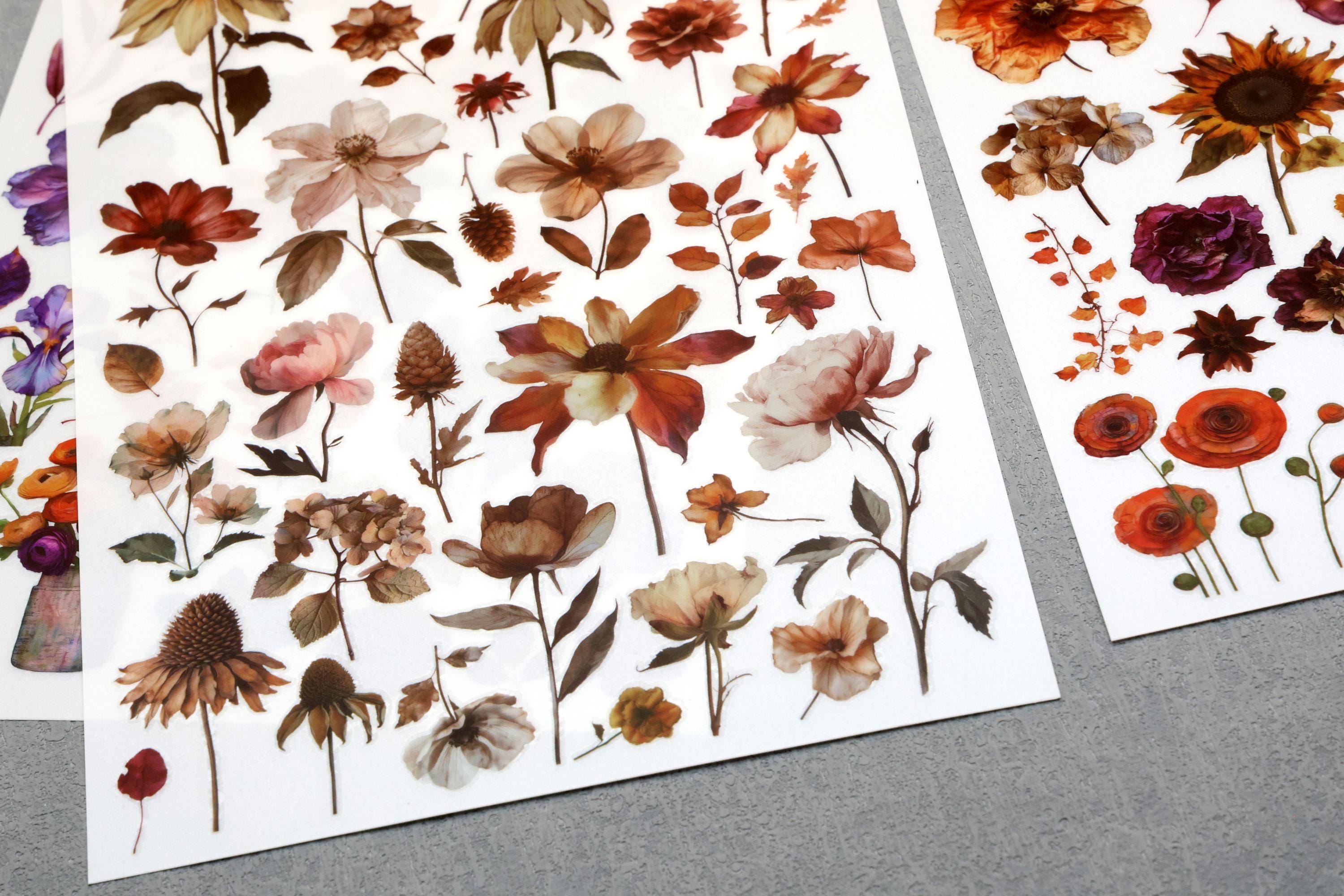 Rub-on Stickers | 3 Sheets Watercolor Autumn Leaf Botanical Flower ...