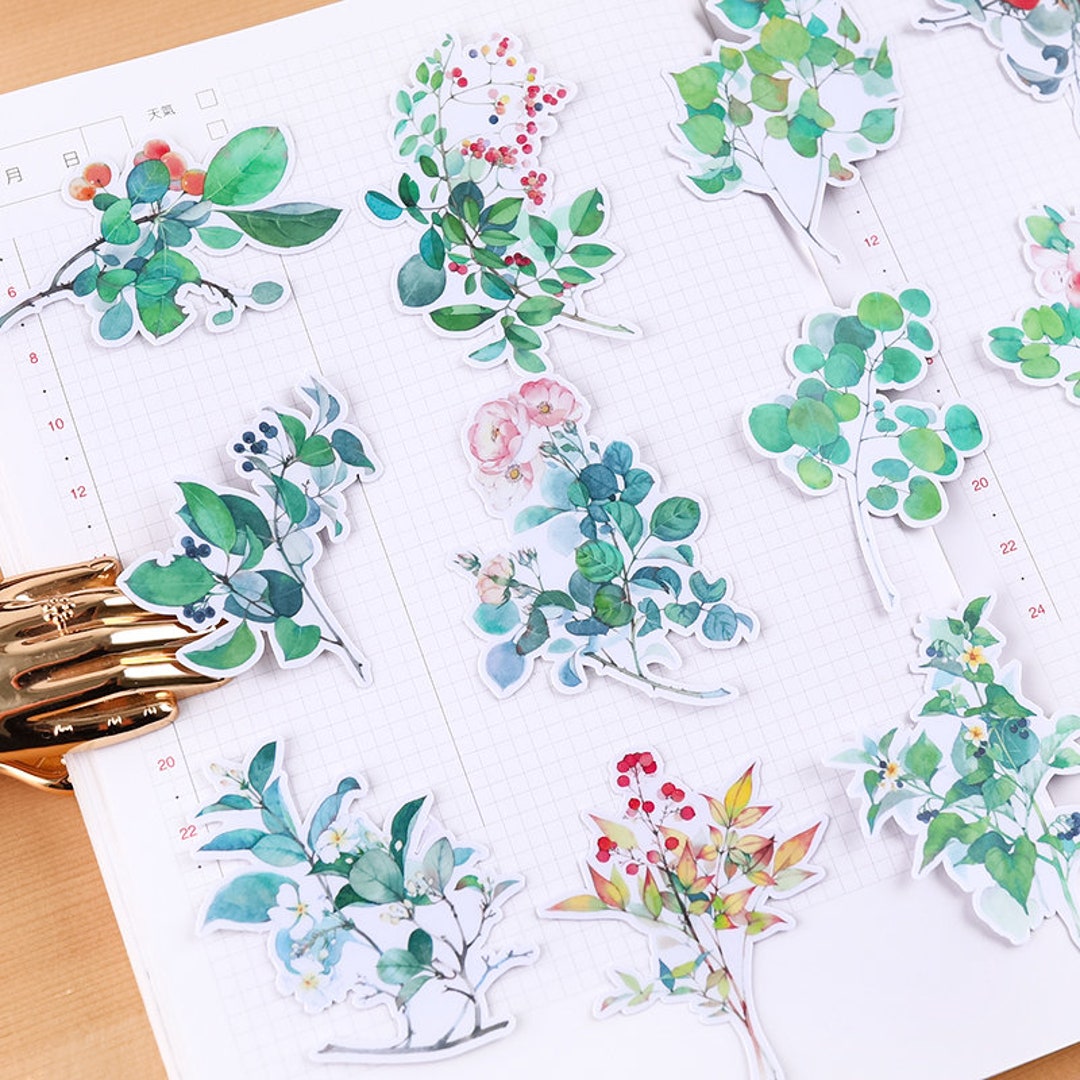 Leaves Sticker | Eucalyptus Leaf Plant Themed Leave Green Leaves ...