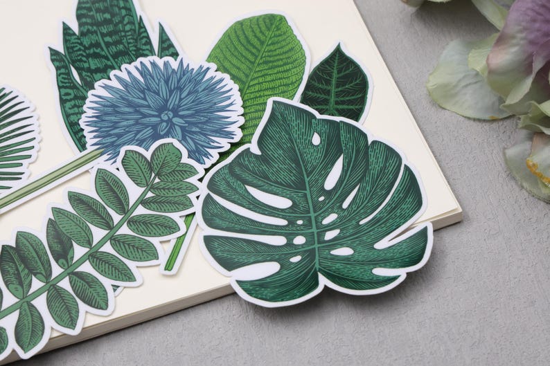 Botanical Leaf Stickers | Leaves Plants Themed Decorative Stickers, Die ...