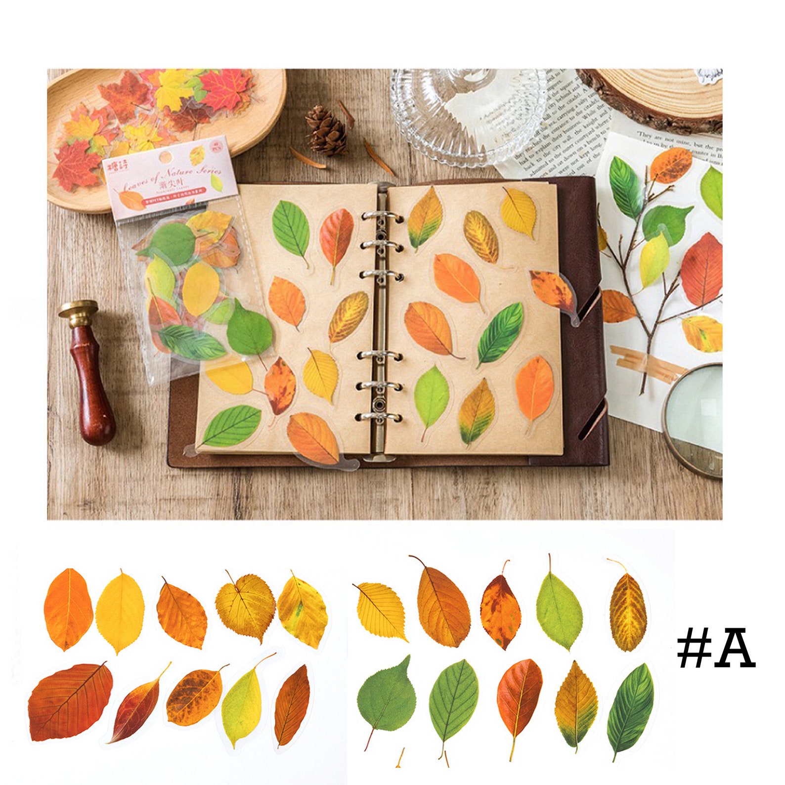 Autumn Leaves PET Sticker | Fall Foliage Fern Maple Leaves Ginkgo ...