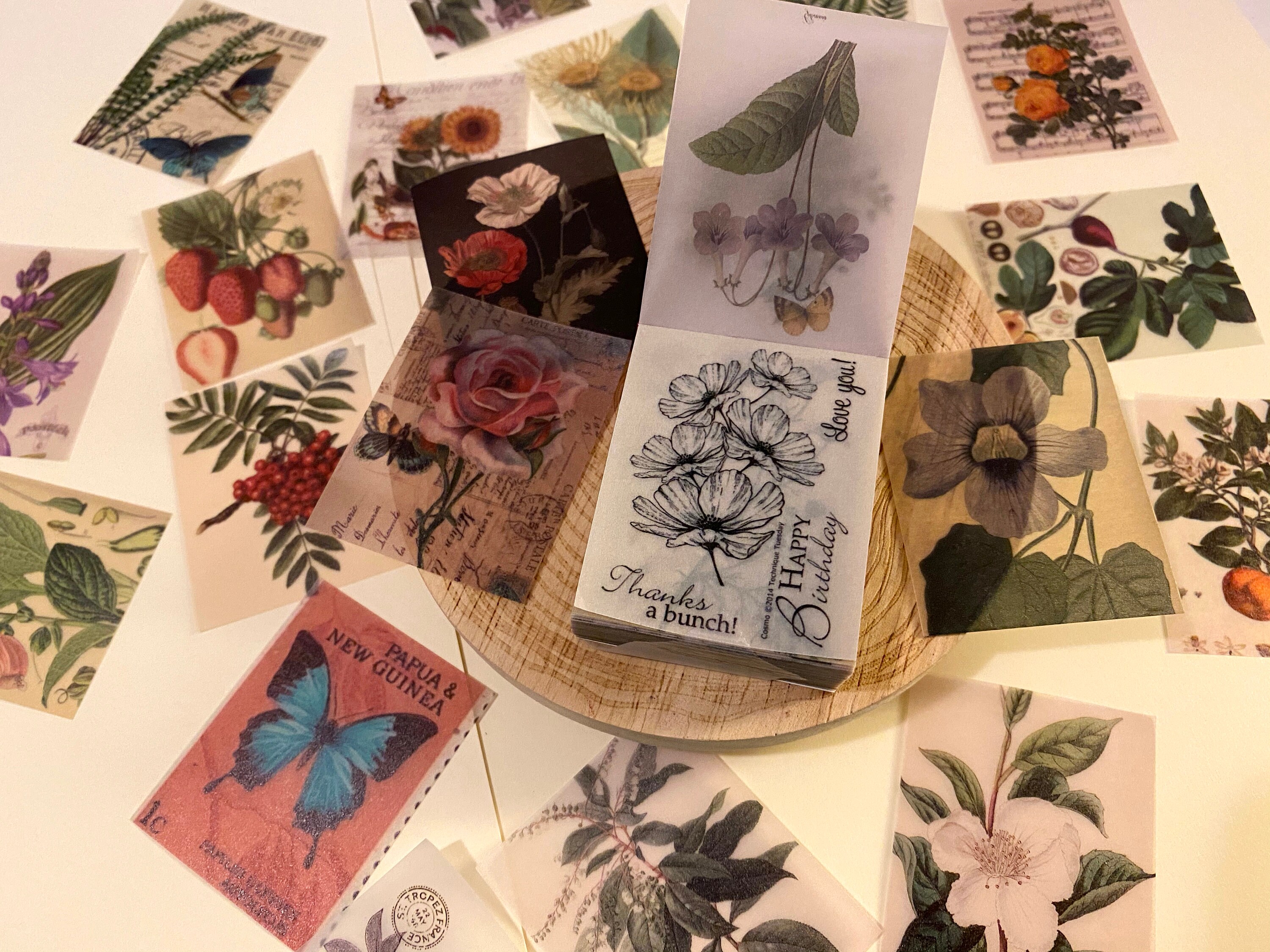Mini Vellum Paper | 366 Pages Assorted Pattern Botanical Plant Vintage ...