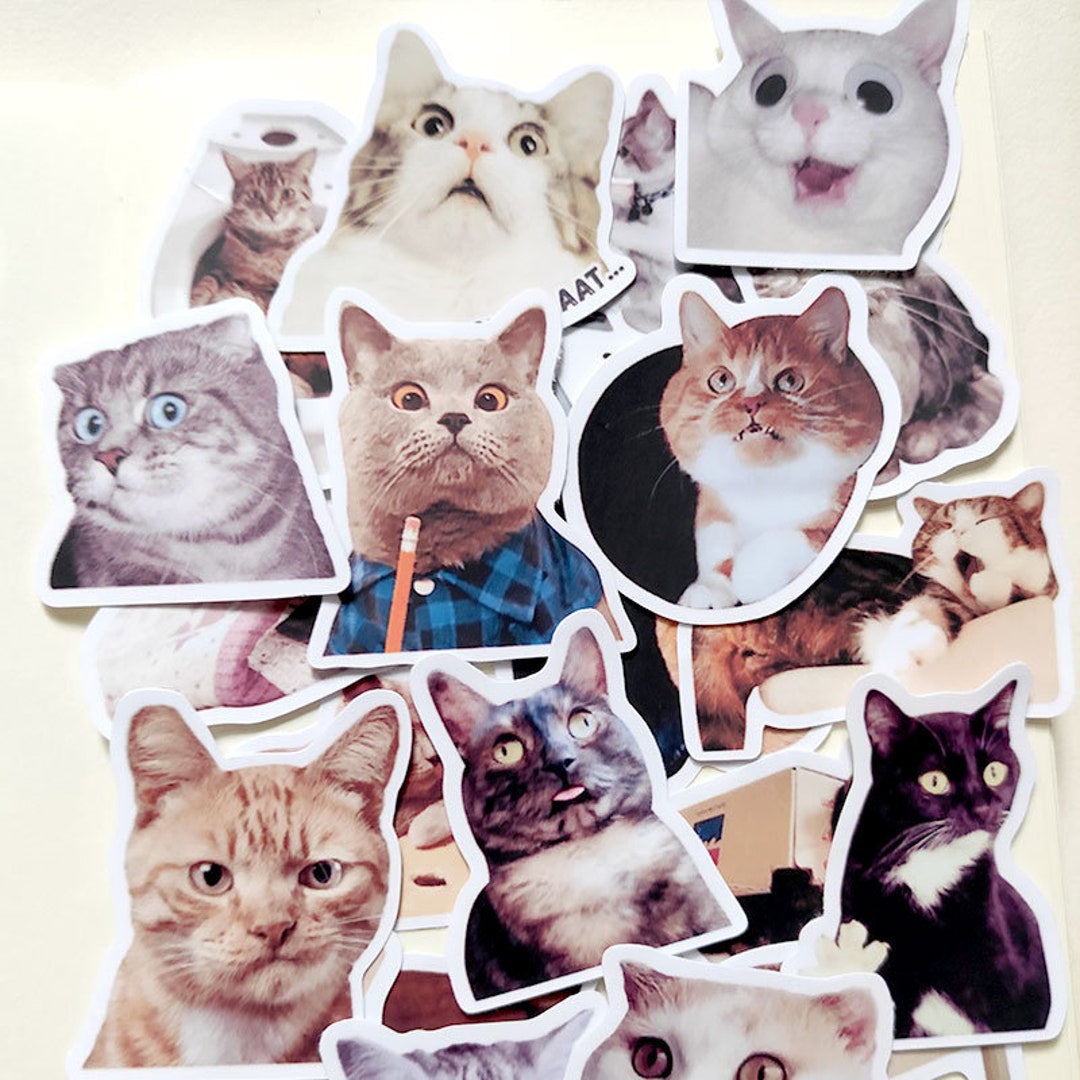 Cat Stickers | Cute Funny Kitty Cat Themed Decorative Stickers, Die Cut ...