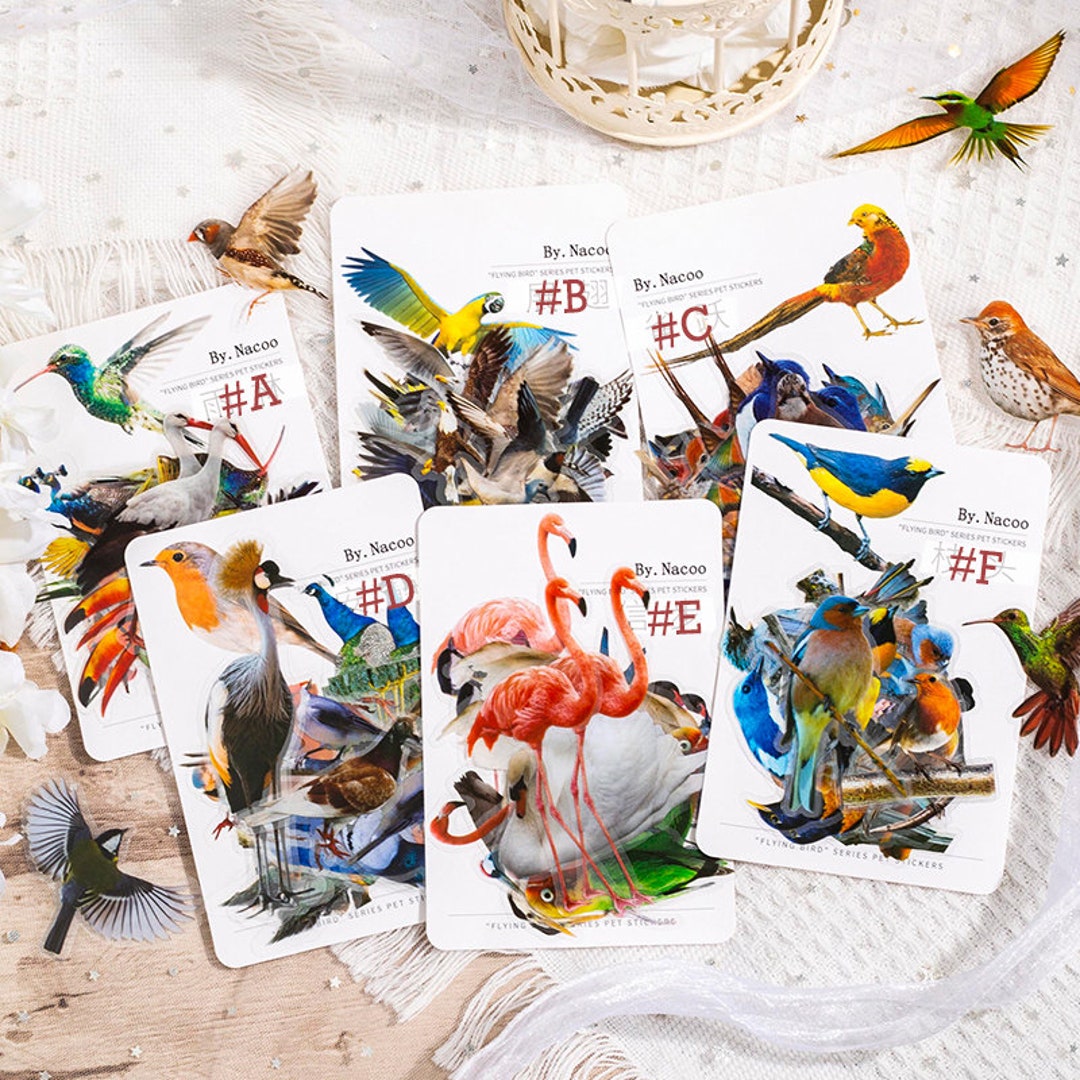 Bird PET Sticker ｜parrot Quill Bird Sparrow Nature Insect Themed PET ...