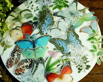 Large Butterfly Stickers - Etsy