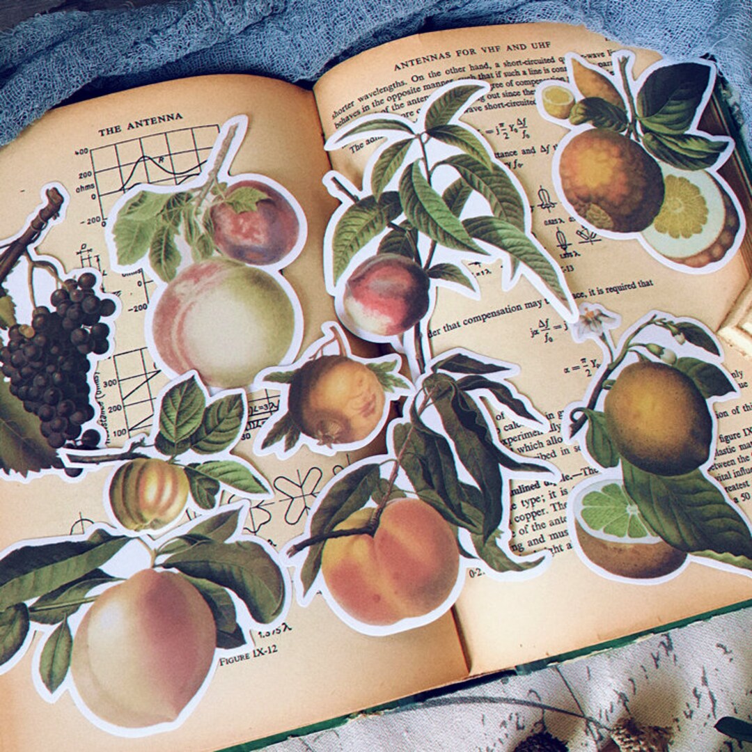 Fruit Sticker Vintage Stickers Peach Stickers Themed Vellum Clear ...