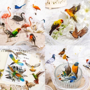 Bird PET Sticker ｜parrot Quill Bird Sparrow Nature Insect Themed PET ...