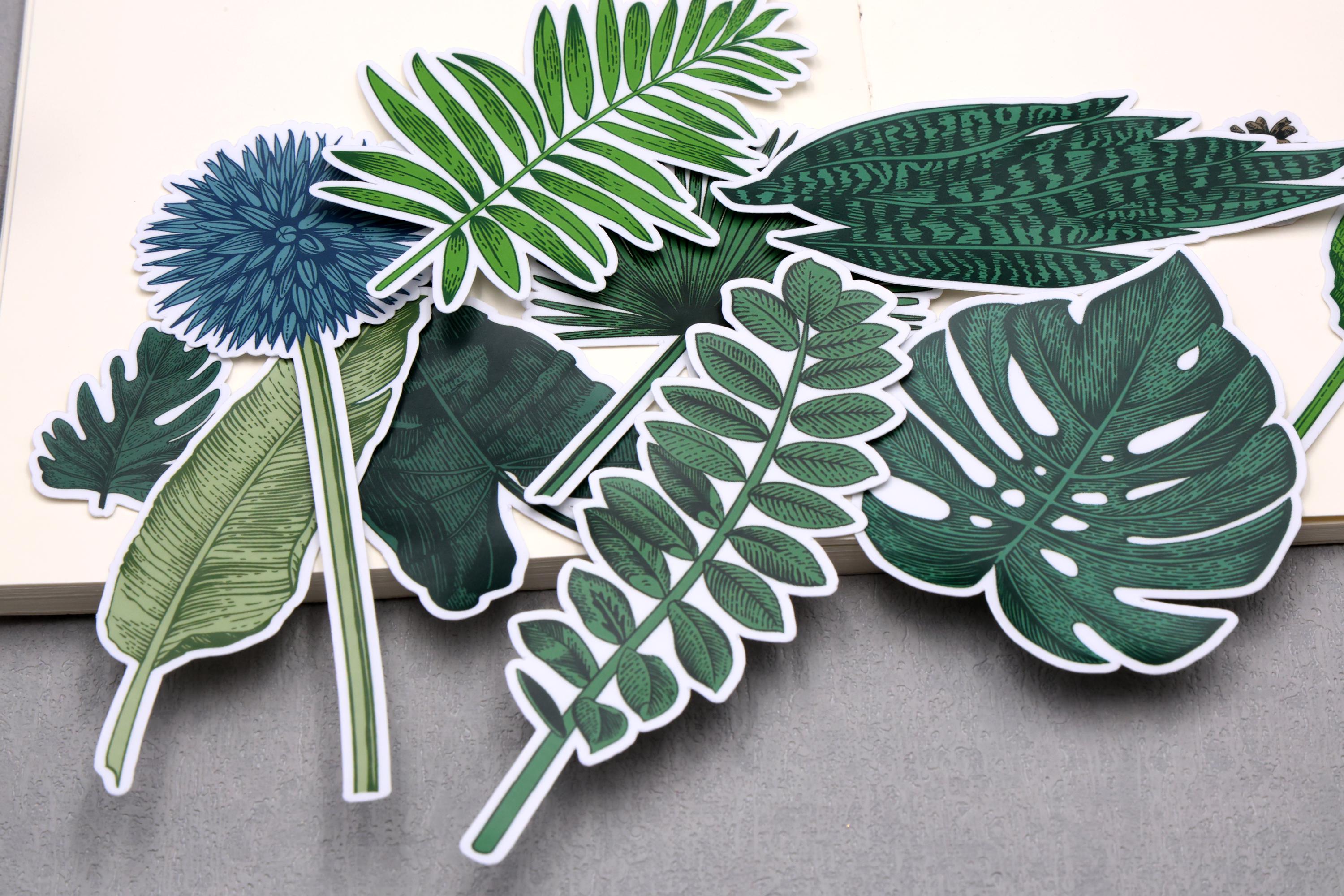 Botanical Leaf Stickers | Leaves Plants Themed Decorative Stickers, Die ...