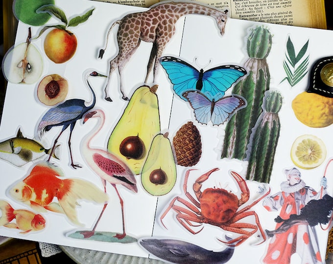 Museum Sticker Art Gallery 60pcs/pack Vellum Paper Texture | Etsy