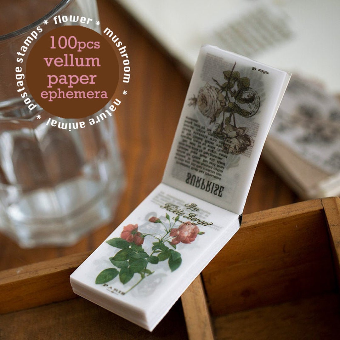 Mini Vellum Paper | Assorted Pattern Flower Nature Animals Mushroom ...