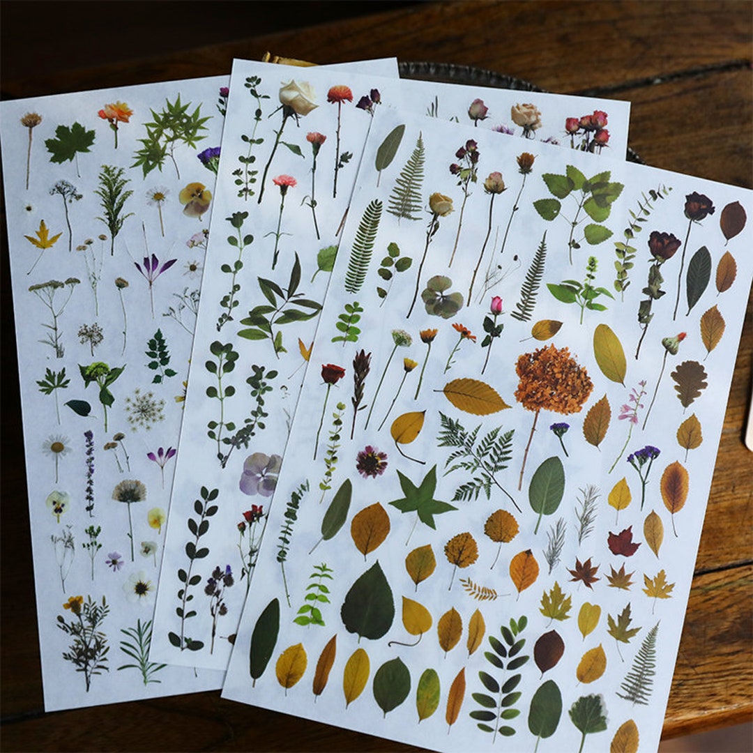 Rub-on Stickers | 3 Sheets Watercolor Green Leaf Botanical Flower ...