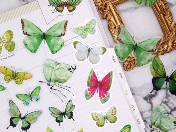 Green butterflies sticker green beautiful butterflies | Etsy