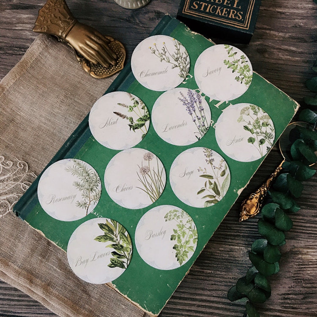 Vintage Botanical Specimen Plant Sample Themed Decorative Ephemera ...