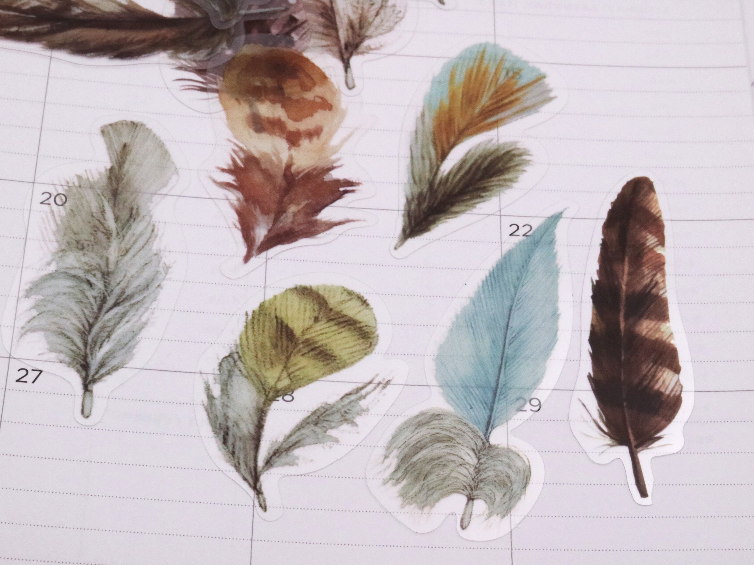 Paper & Party Supplies feather sticker ｜feather quill bird nature ...