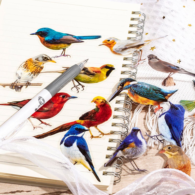 Bird PET Sticker ｜parrot Quill Bird Sparrow Nature Insect Themed PET ...