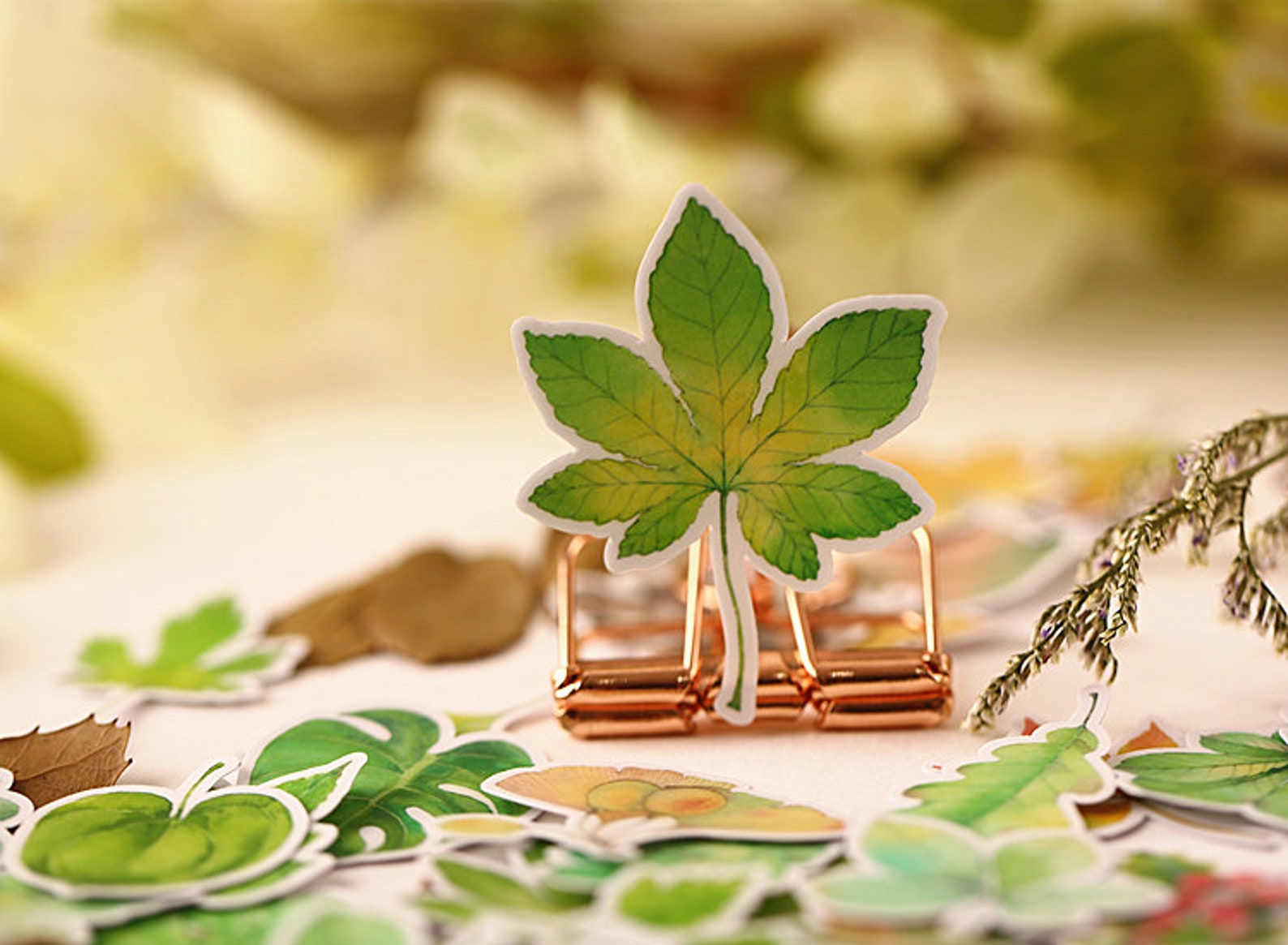 Leaves Sticker | Plant Themed Autumn Leave Green Leaves Botanical Leaf ...