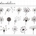 Dandelion Themed Transparent Stamp / Leaves Flowers / Botanicals Rubber ...