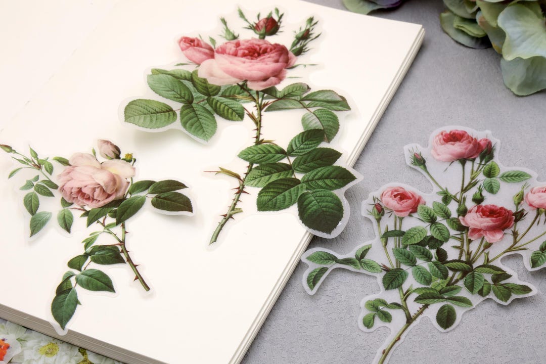 40pcs/pack Flower Stickers | Vellum Paper Large Botanical Floral Flower ...