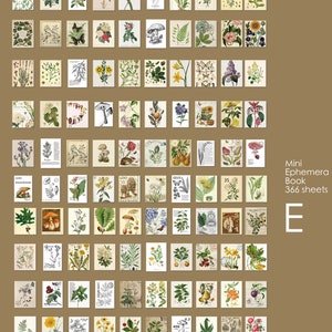 Mini Vellum Paper | 366 Pages Assorted Pattern Botanical Plant Vintage ...