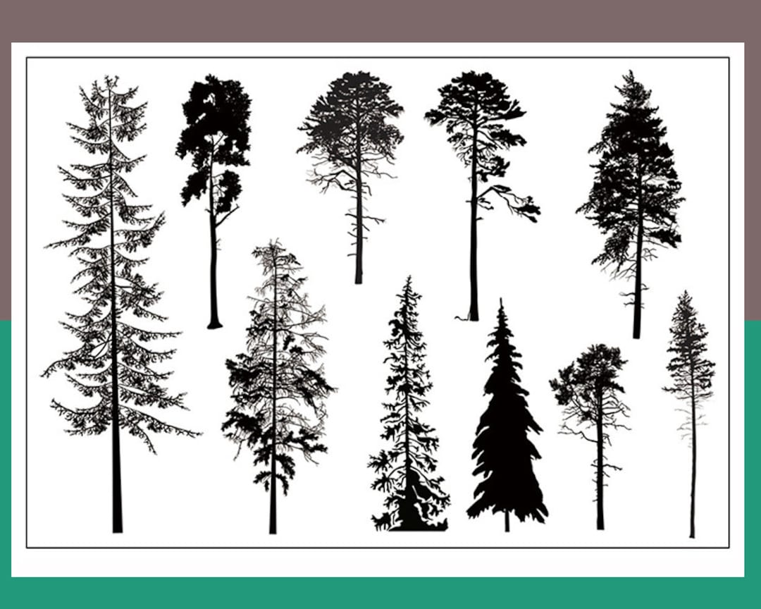 Clear Stamp Set / Clear Stamps / Tree Plant Pine Tree Themed ...