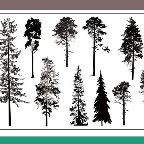 Clear Stamp Set / Clear Stamps / Tree Plant Pine Tree Themed | Etsy