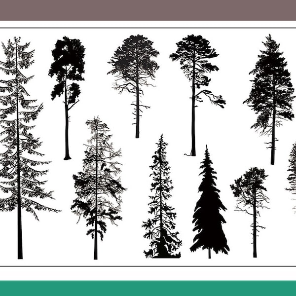 Pine Tree Stamp - Etsy
