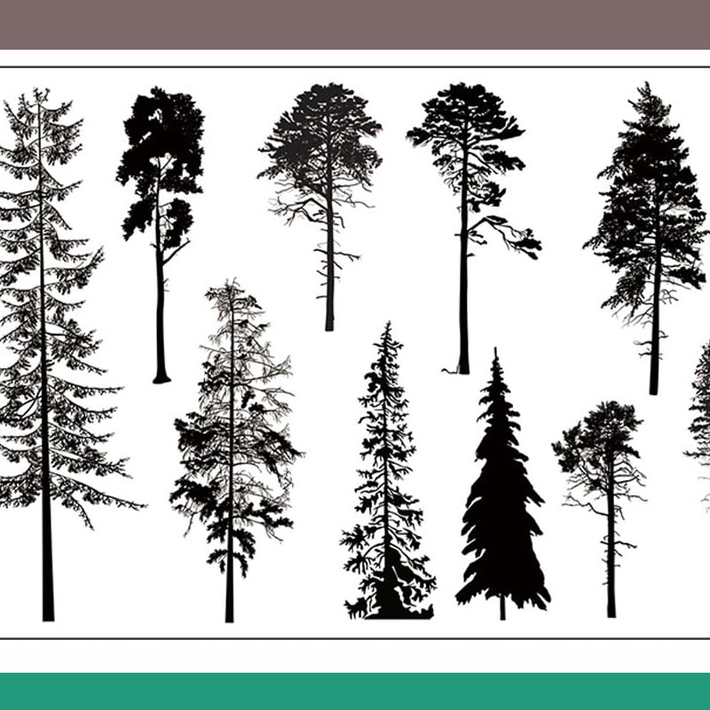 Pine Tree Stamp - Etsy
