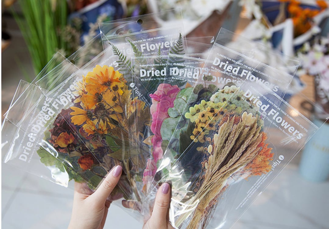 Extra-large Dried Flowers Clear Stickers | PET Plant Specimen Stickers ...
