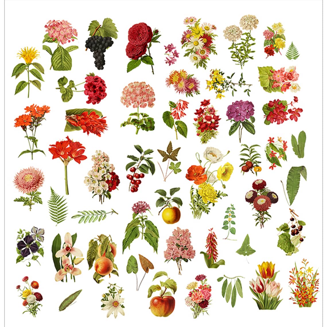 Vintage Floral stickers flower rose floral plants themed | Etsy